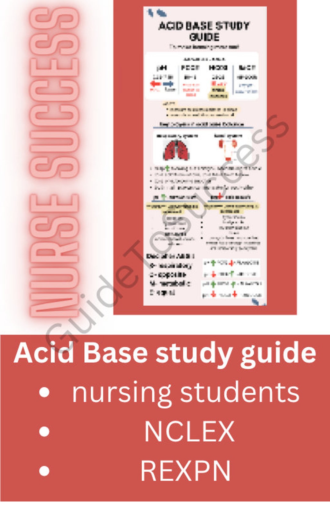Acid Base Nursing Study Guide - Etsy