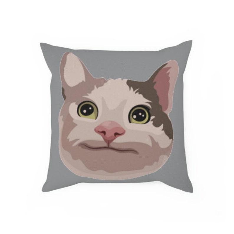 Polite Cat Meme Pillow, Pillow and Pillowcase, Square - Etsy