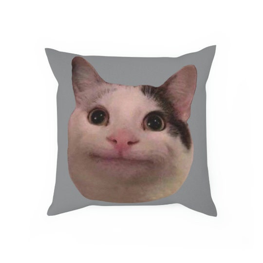 Polite Cat Meme Pillow, Pillow and Pillowcase, Square - Etsy