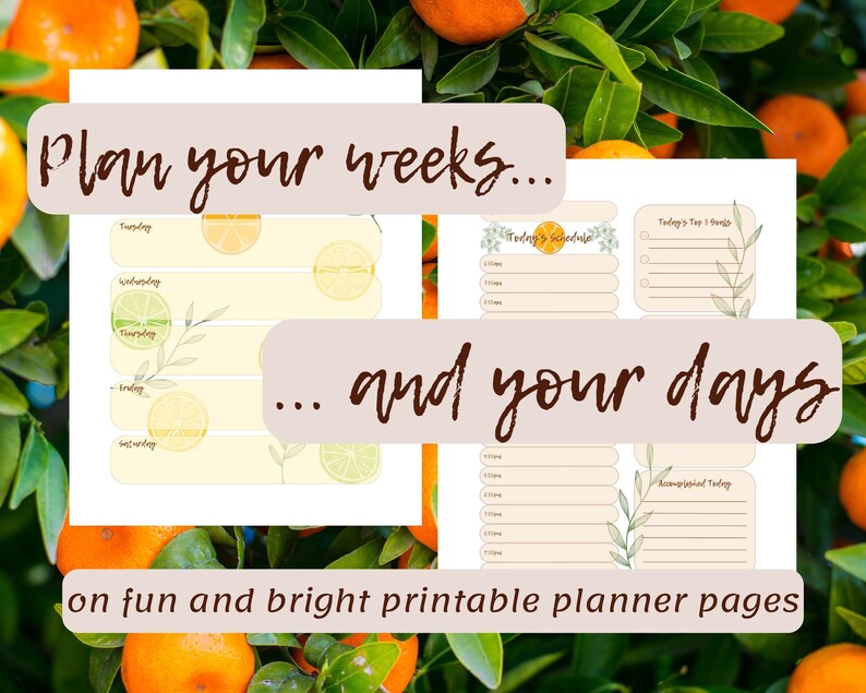 Productivity Planner Printable, Weekly Habit Tracker, to Do List and ...