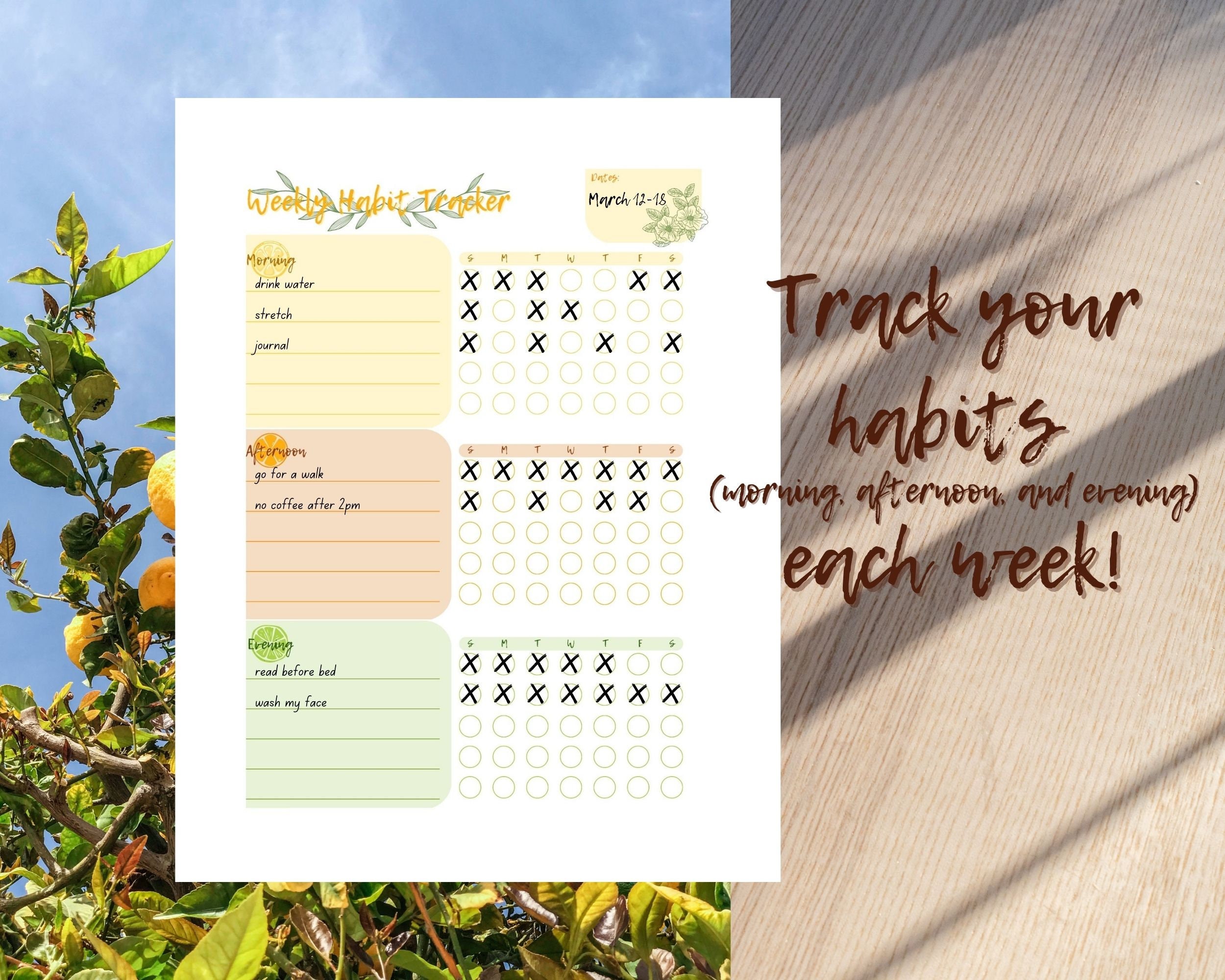 Wellness Habit Tracker and Productivity Planner, Weekly and Daily Self ...