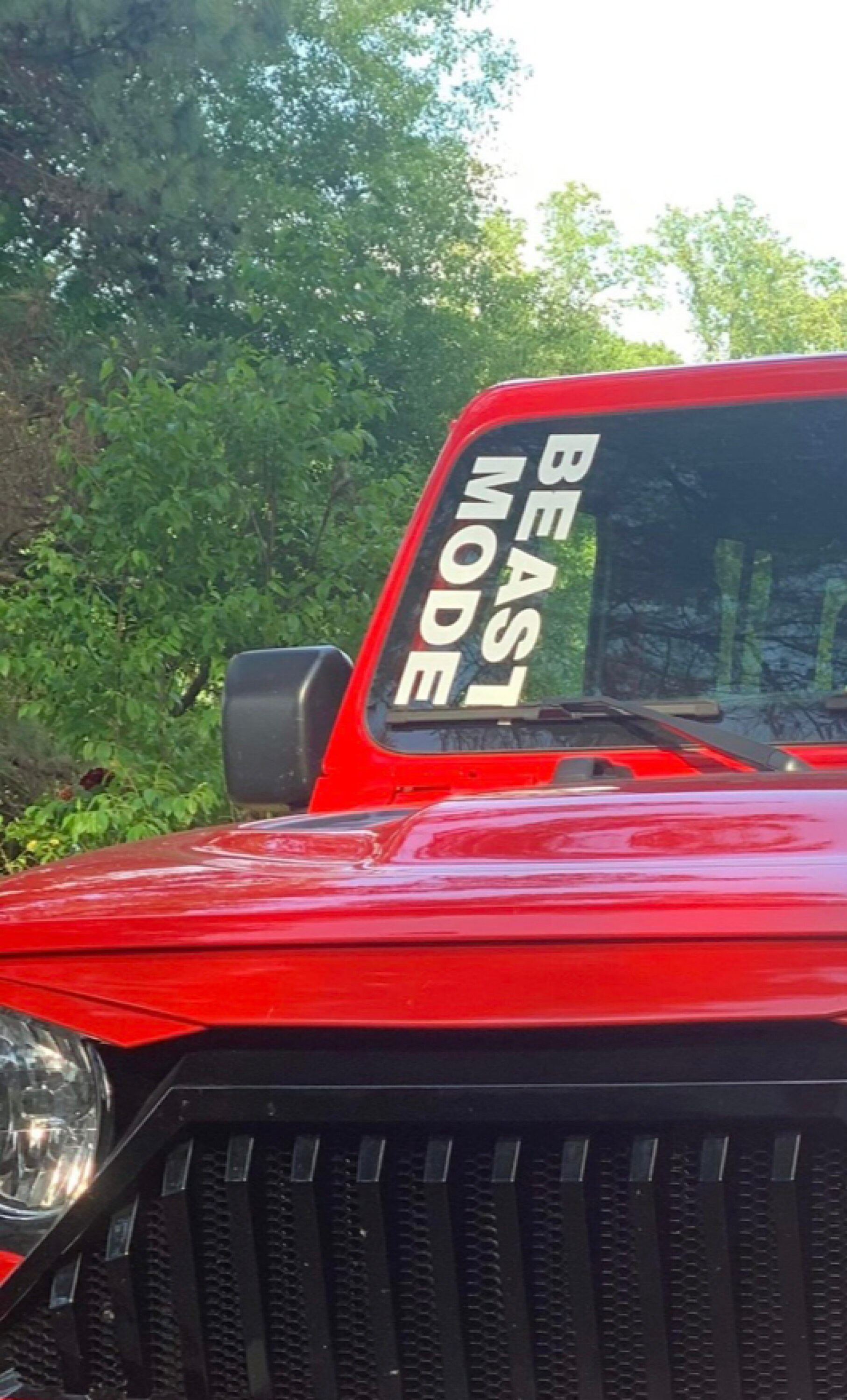 Fully CUSTOMIZED VINYL DECAL // Custom Text // Custom Vinyl Color ...