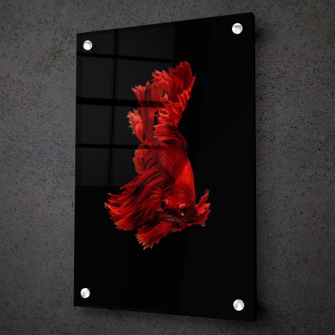 Acrylic Wall Art Betta Fish Wall Decor Fish Large Wall Print Modern ...