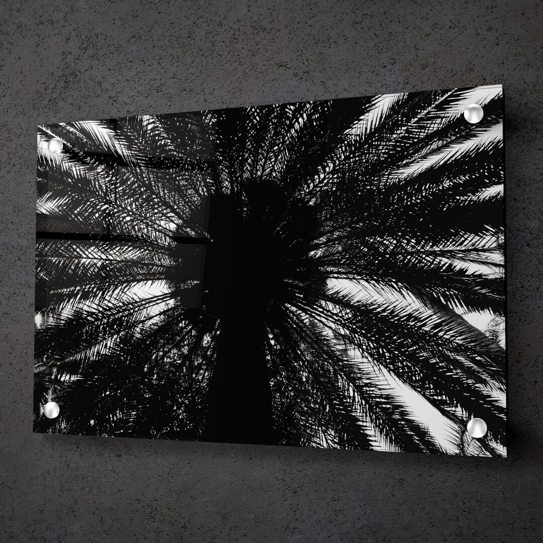 Acrylic Wall Art Palm Tree Palm Tree Wall Decor Large Wall - Etsy