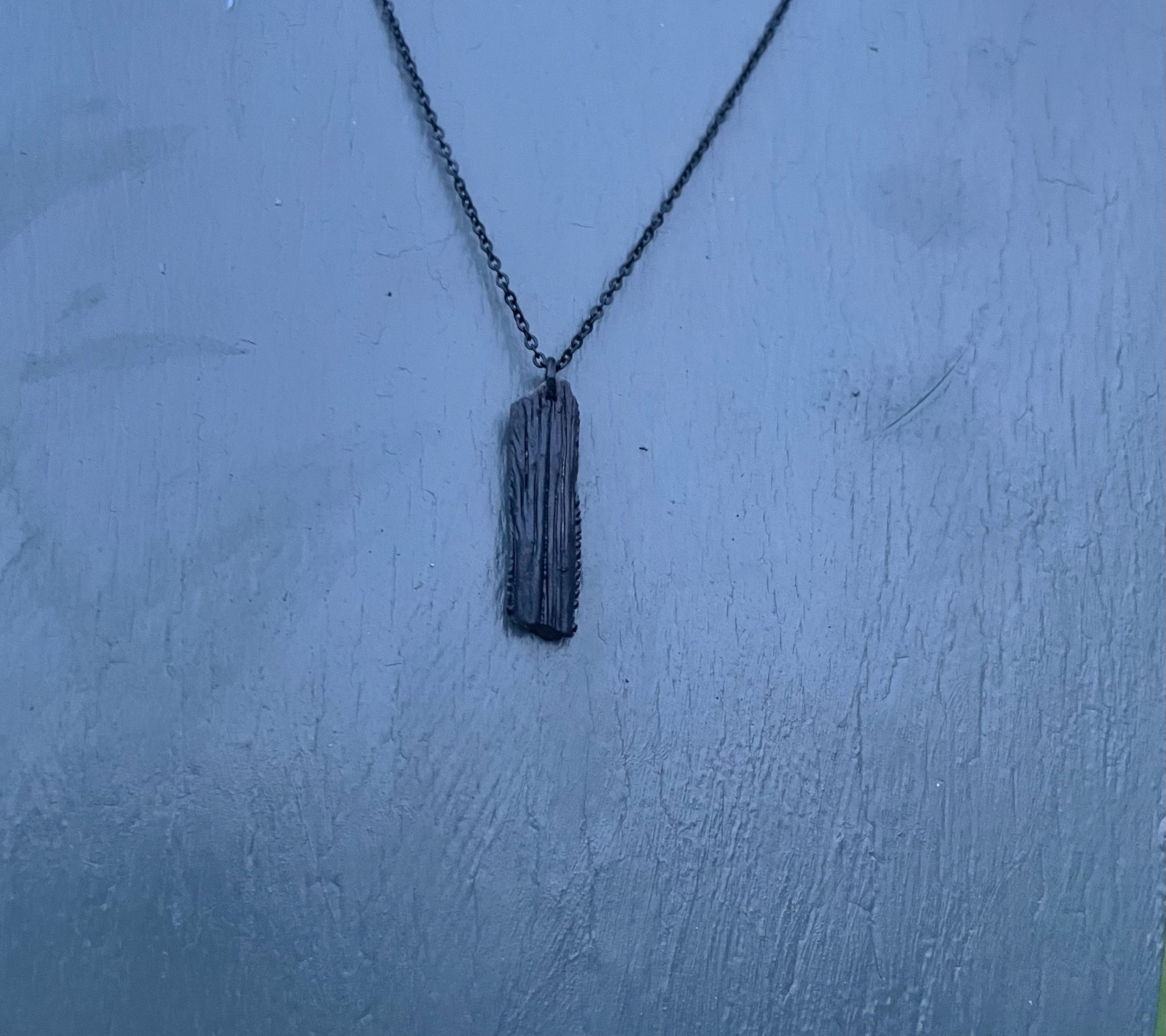 Stingray Barb Fossil Stainless Steel Black Chain Necklace NR36 - Etsy