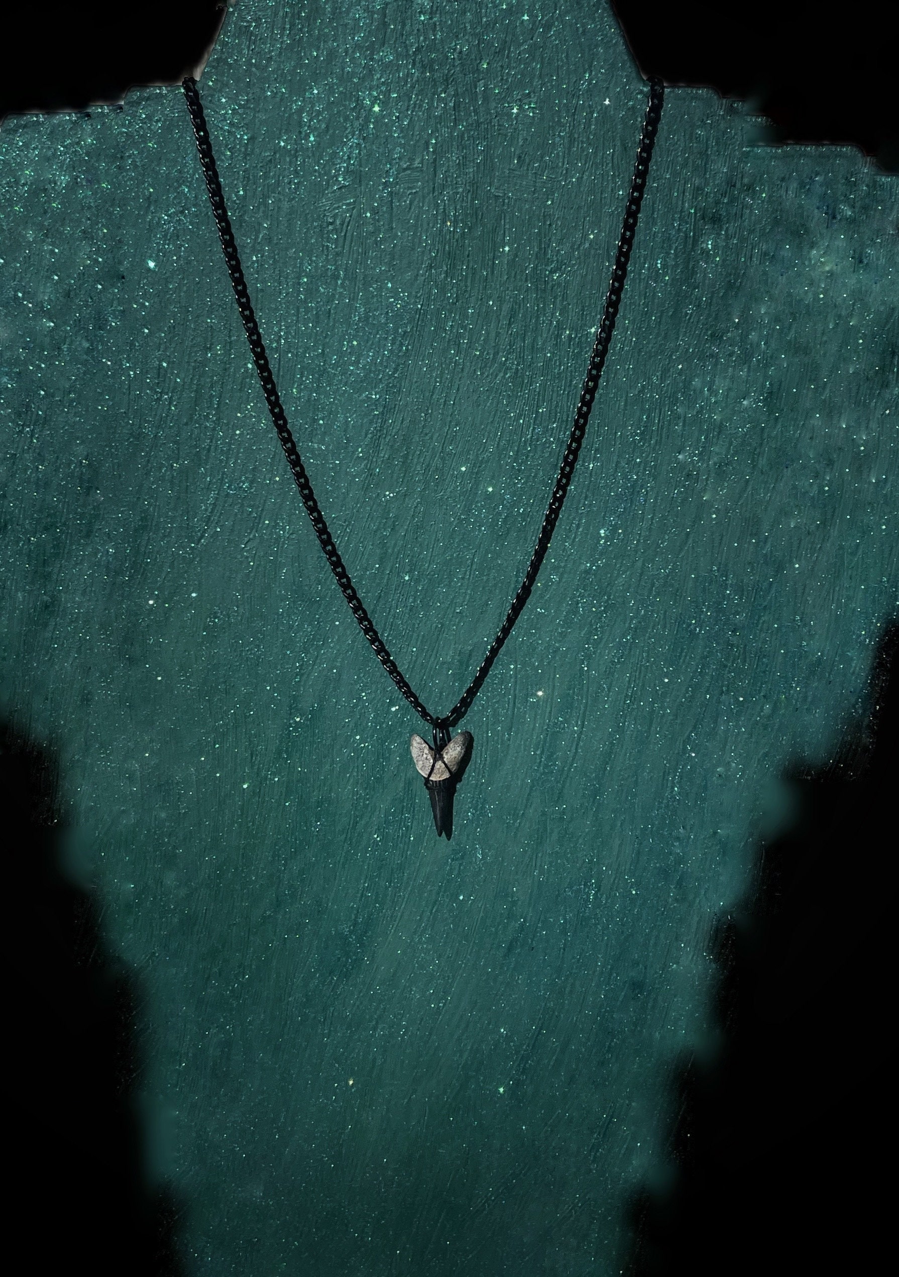 Prehistoric Extinct Sand Tiger Shark Tooth Stainless Steel Black Chain ...