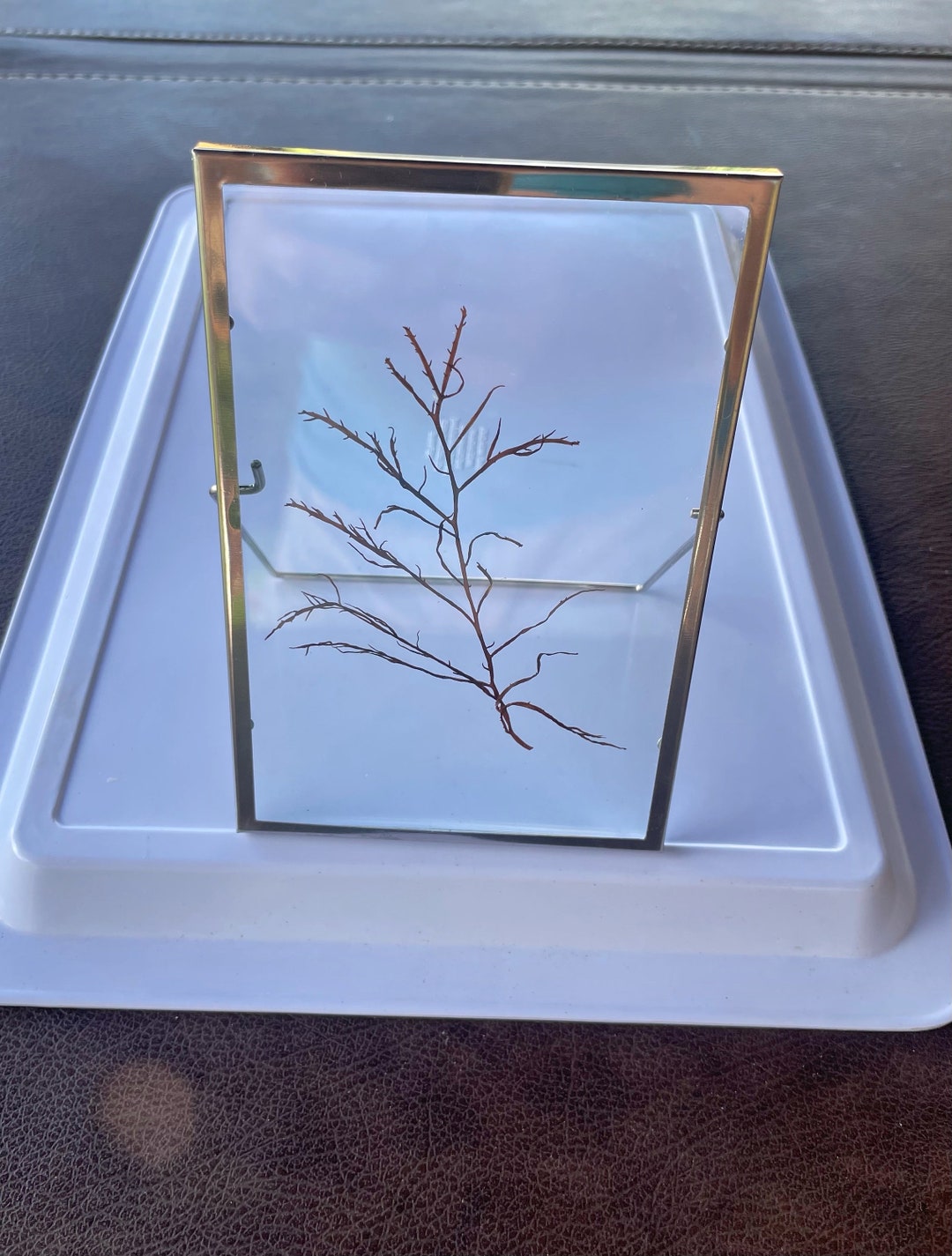 Purple Claw Weed Translucent Frame - Etsy