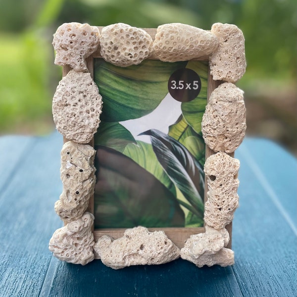 Coral Picture Frame - Etsy