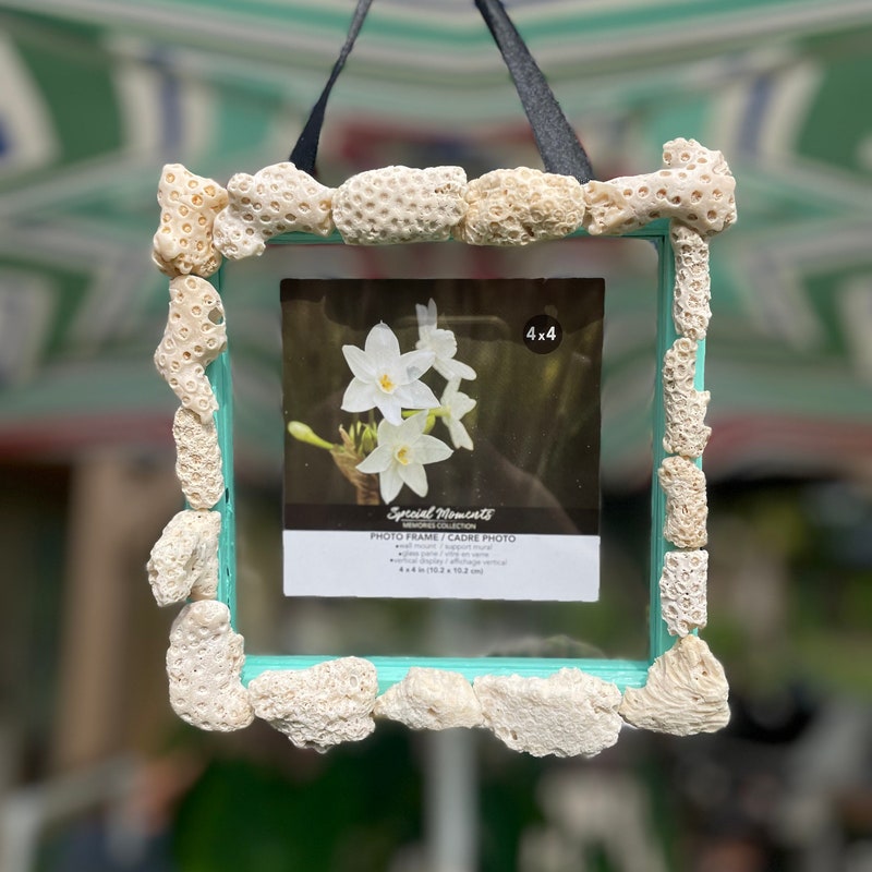 Coral Picture Frame - Etsy