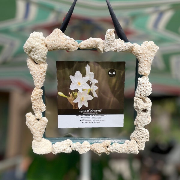 Coral Picture Frame - Etsy