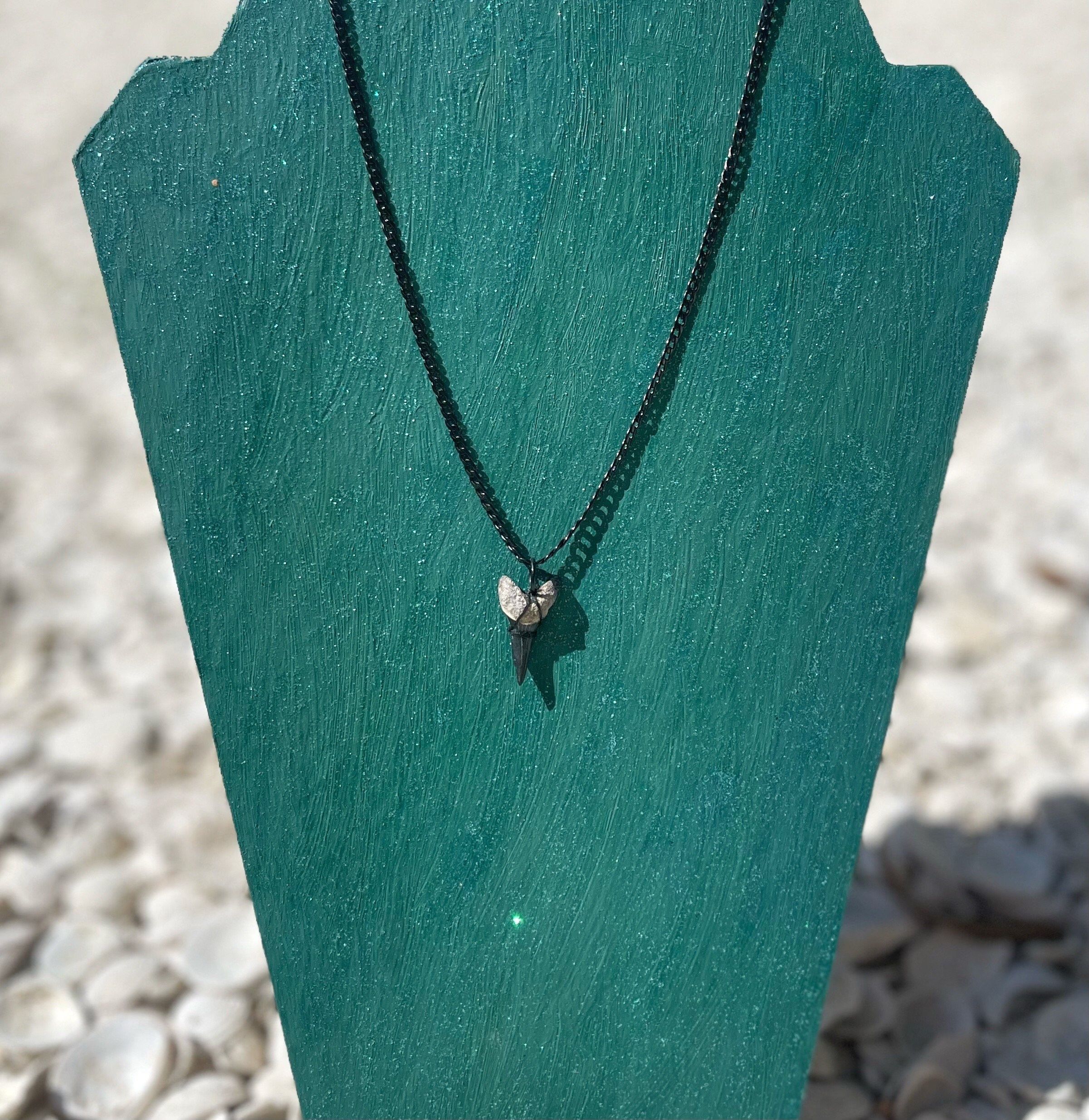 Prehistoric Extinct Sand Tiger Shark Tooth Stainless Steel Black Chain ...