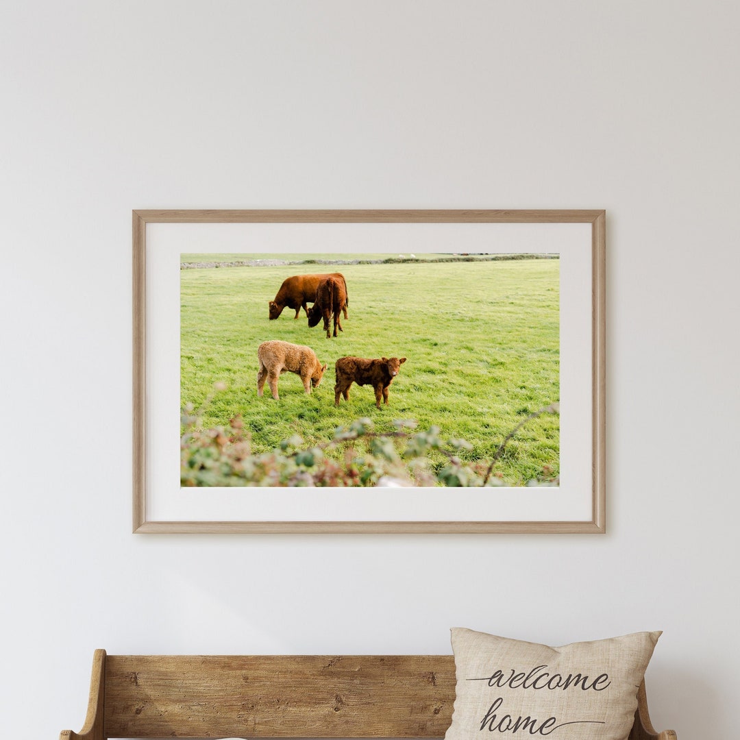 The Happiest Cows | 8x10 16x20 Print | Frame - Etsy