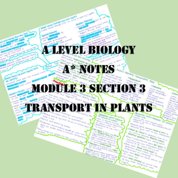 Biology Notes a Level: Transport in Plants - Etsy
