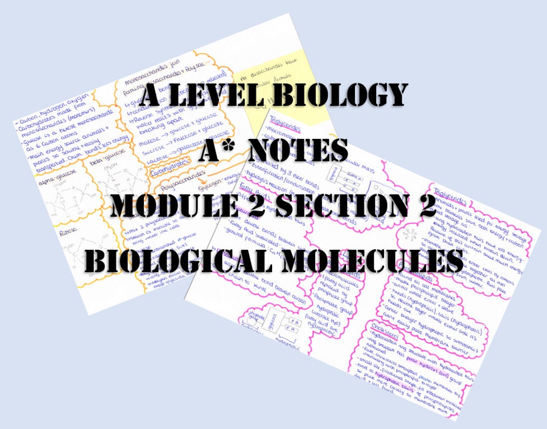 A Level Biology Revision Notes - Biological Molecules - Gift for ...