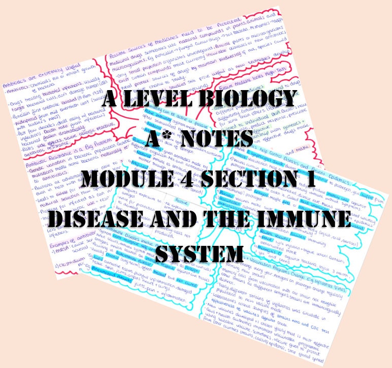 A Level Biology Revision Note Disease and Immune System - Etsy