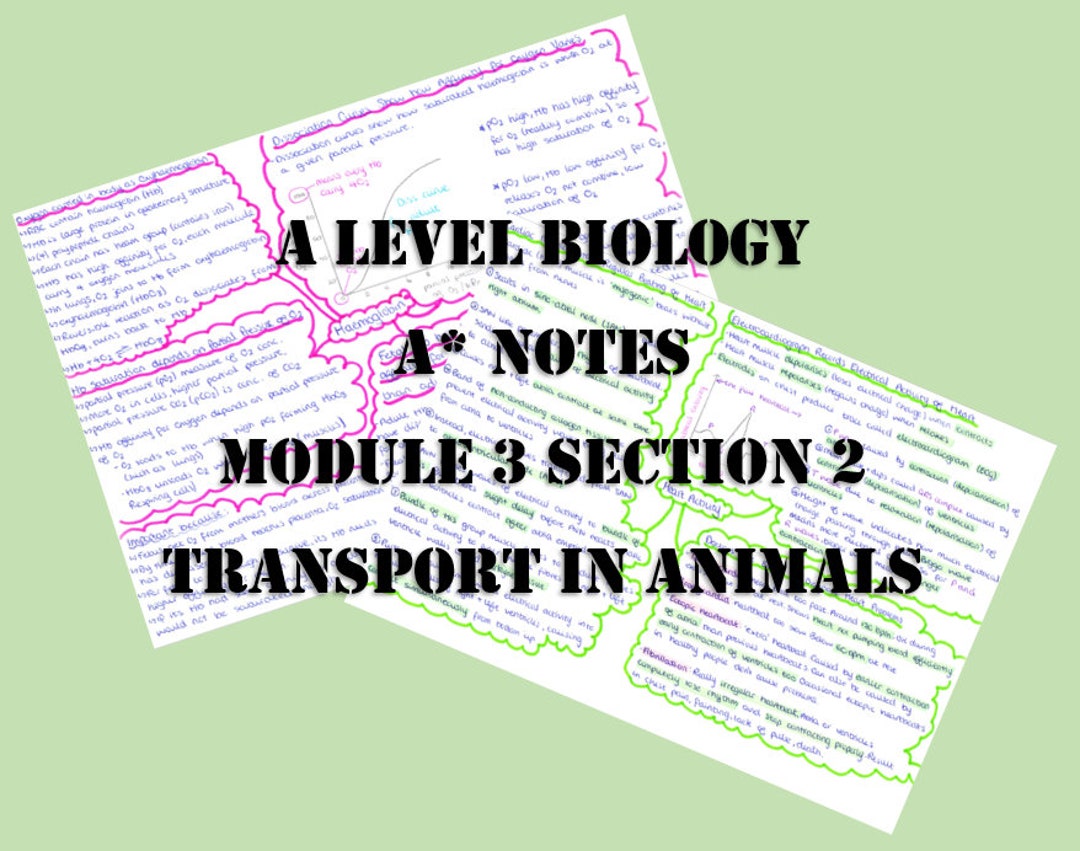 A Level Biology Revision Notes - Transport in Animals - Animal Lover ...
