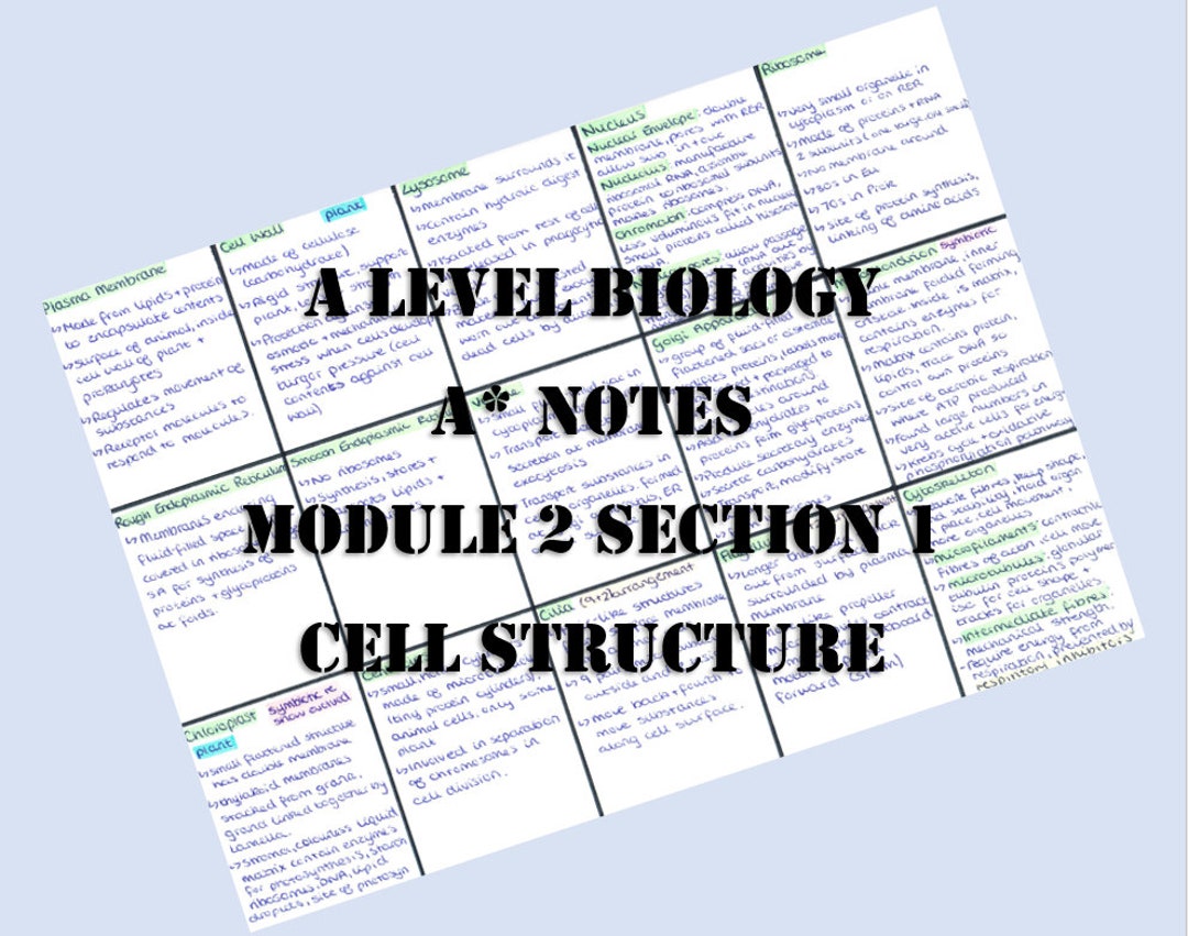 A Level Biology Revision Notes - Cell Structure - Biology A* Revision ...