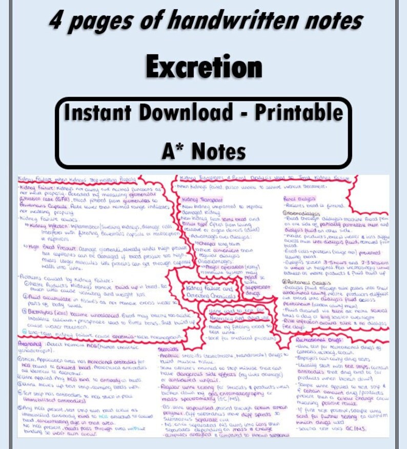 A Level Biology Revision Guide - Excretion - Alevel Revision Study Note ...