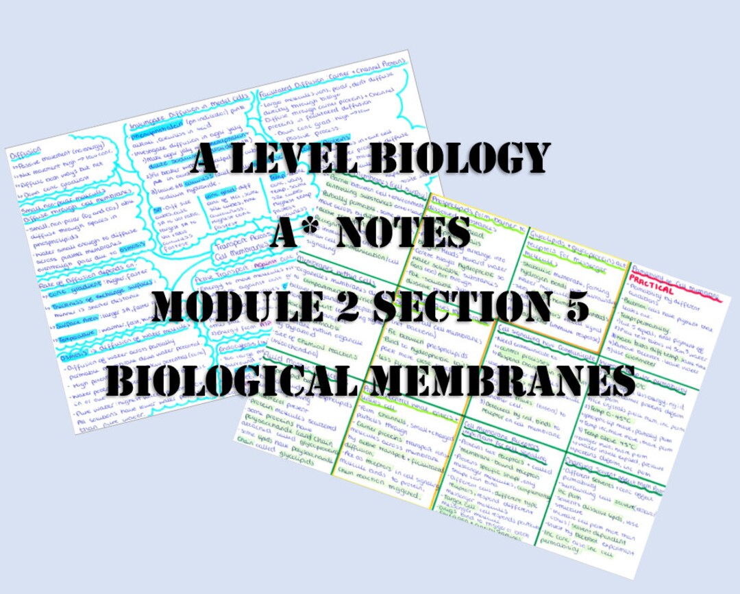 A Level Biology Revision Notes - Biological Membranes - Nerd Gift ...