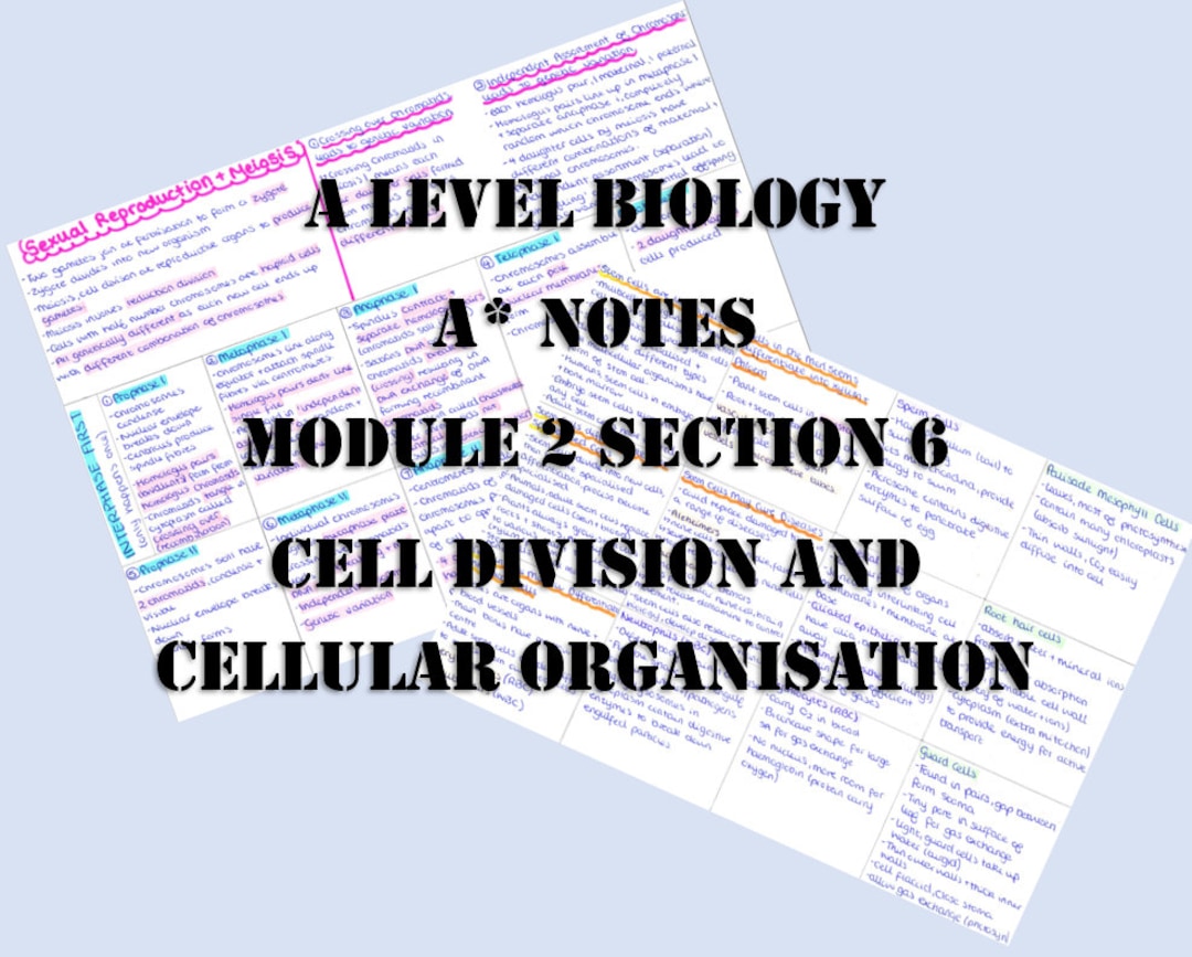 A Level Biology Revision Notes - Cell Division and Cellular ...