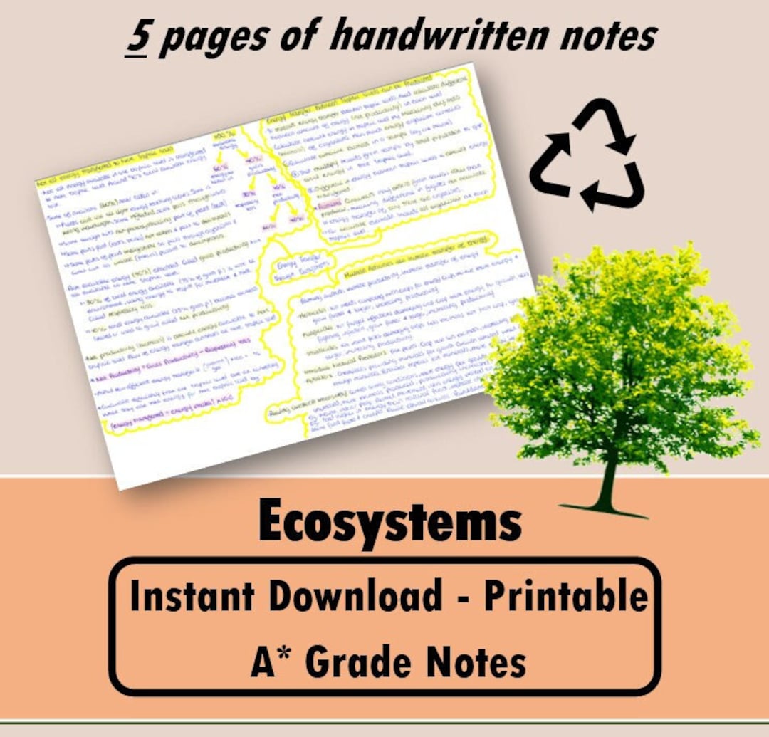 Alevel Biology Revision Guide Ecosystem A Level Study Note for College ...