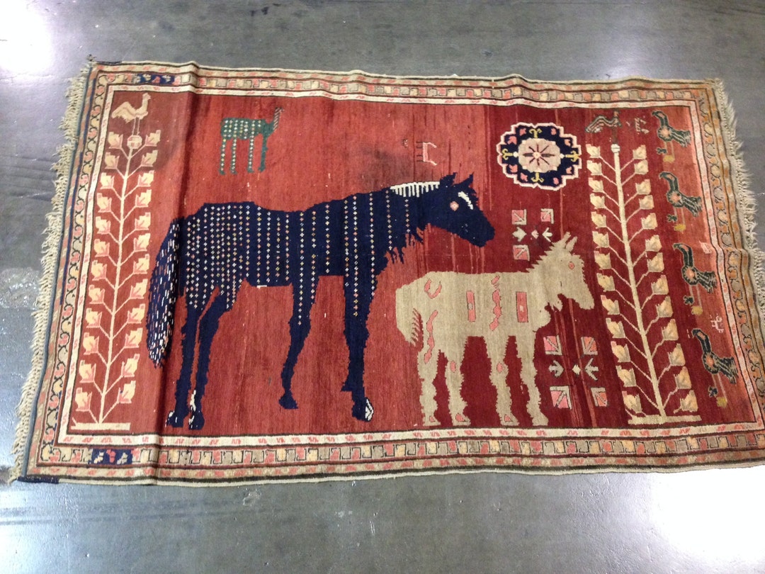 Bakhtiary Pictorial Rug - Etsy