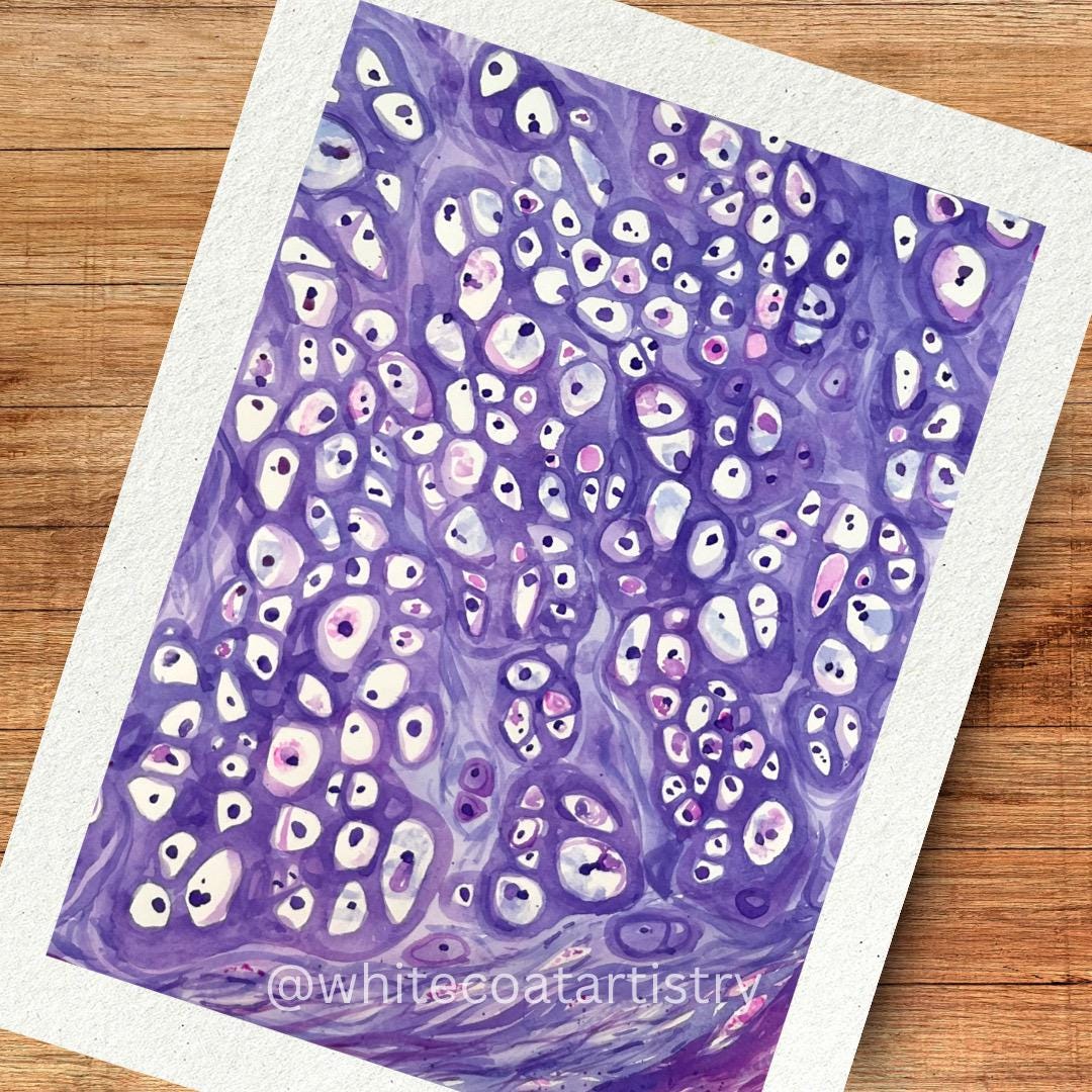 Cartilage Histology, Pathology Art Original Painting, Watercolor, 9x12 ...