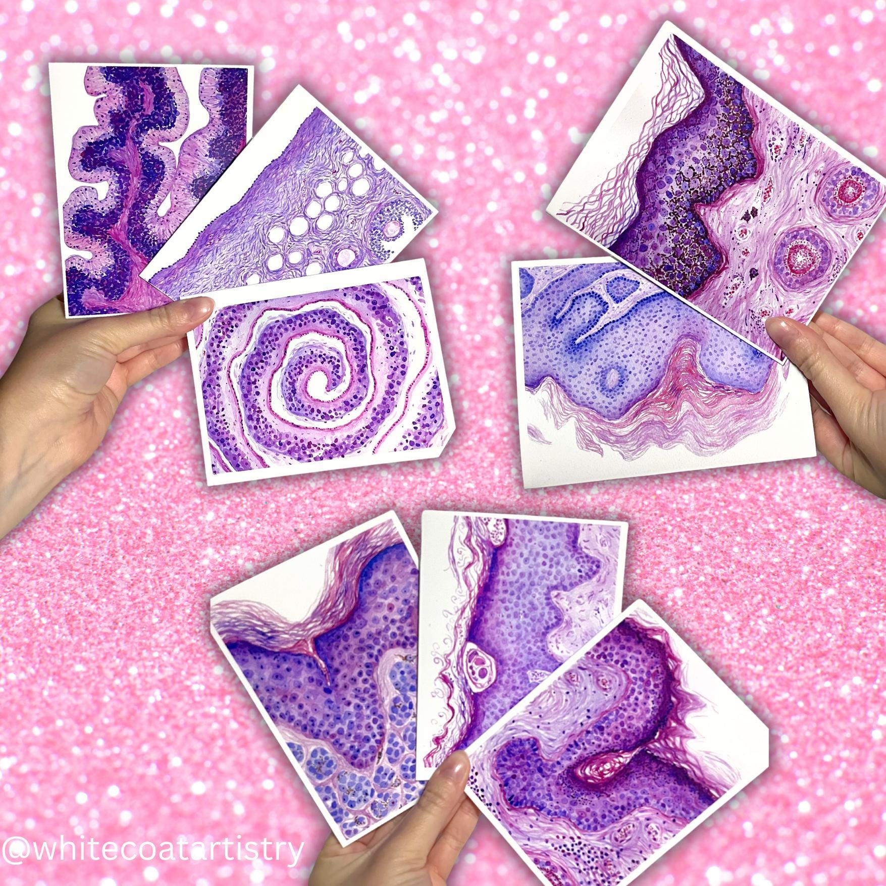 Pathology Cards, Histology, Blank Cards With Envelop - Etsy