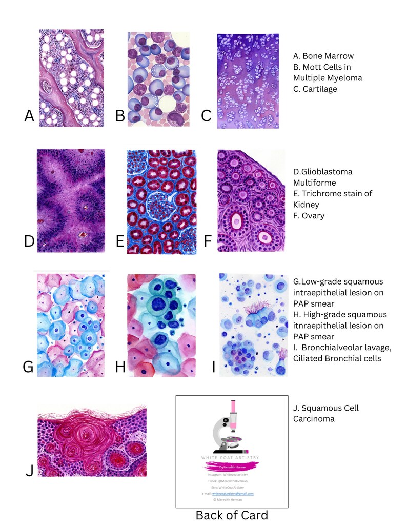 Pathology Art Blank Cards Set of 5 With Envelop, Medical Art Card ...