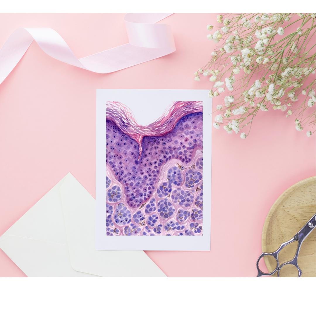 Pathology Cards, Histology, Blank Cards With Envelop - Etsy
