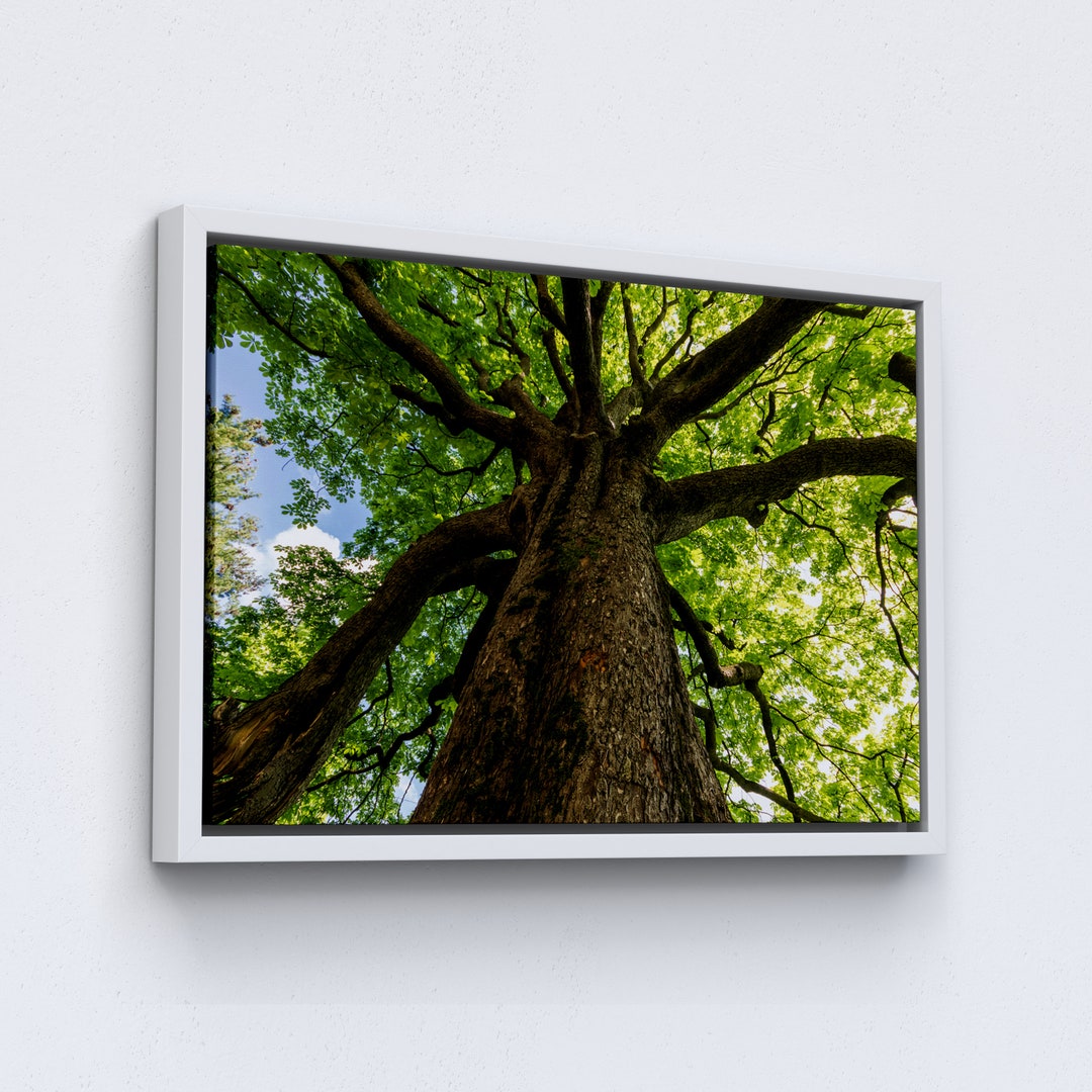 Tree Branch Wall Art, Tree Poster Tree Branch Abstract Tree Print ...