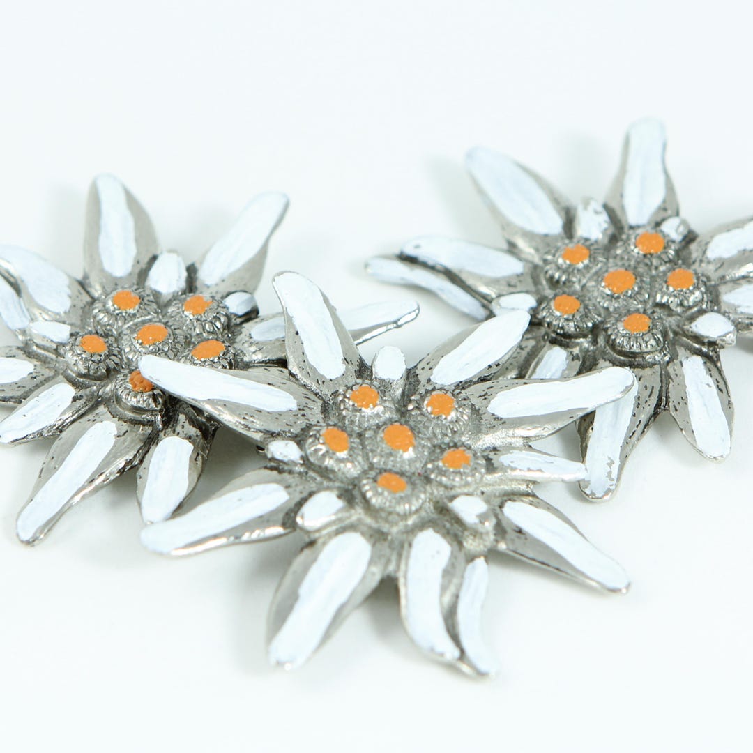 Brooch Edelweiss 60 Mm / Hand-painted - Etsy