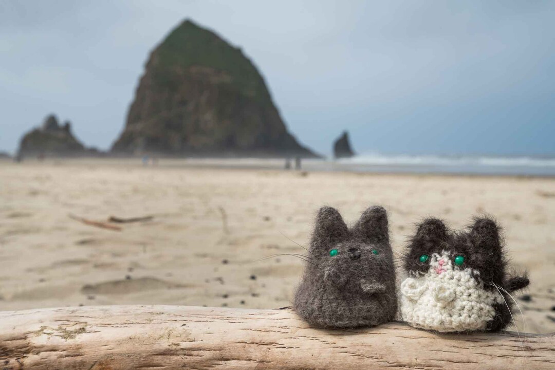 YOUR Cat's Fur: Custom Mini Cat Plushie | Cute Pet Memorial Keepsake ...