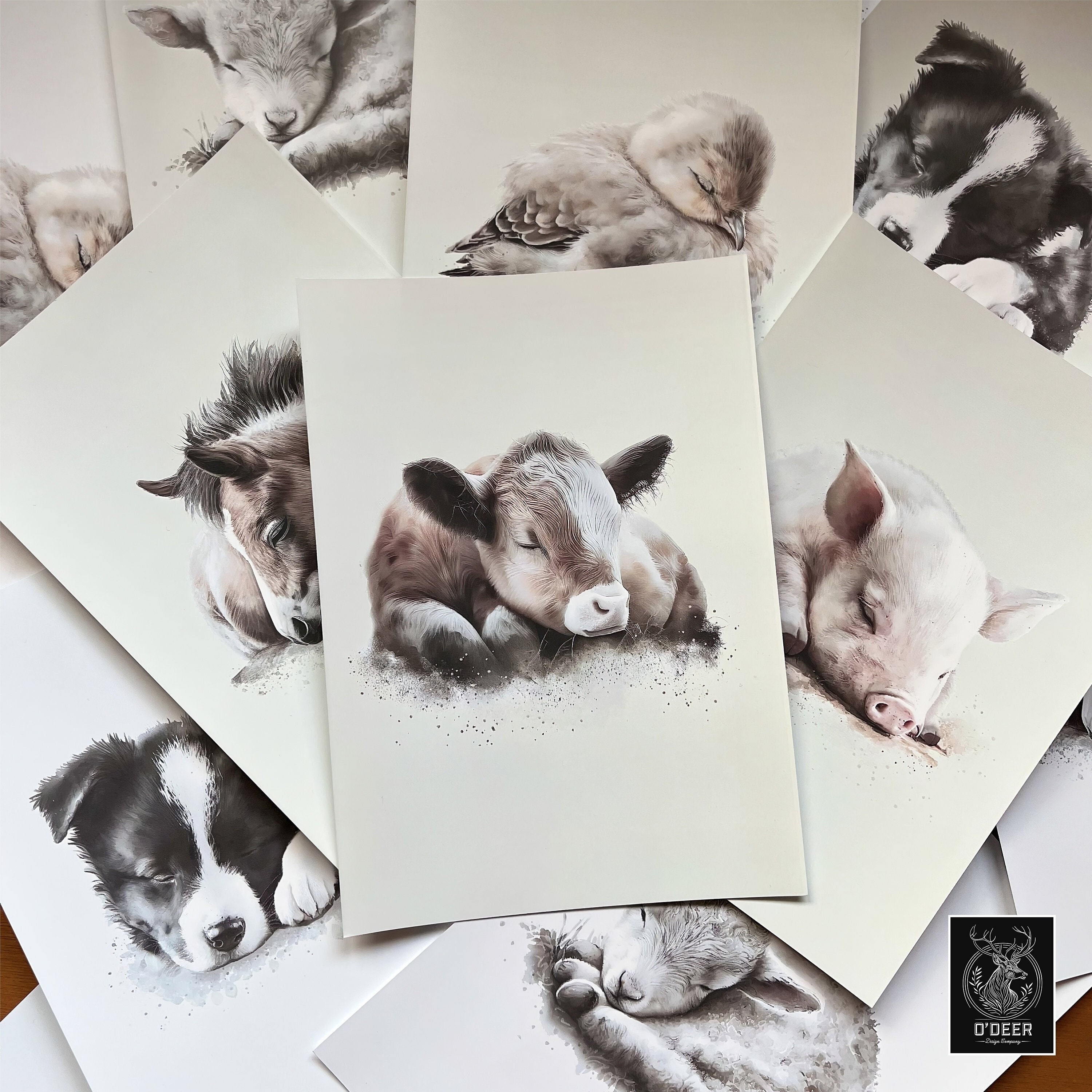 Real Farm Animals Collage