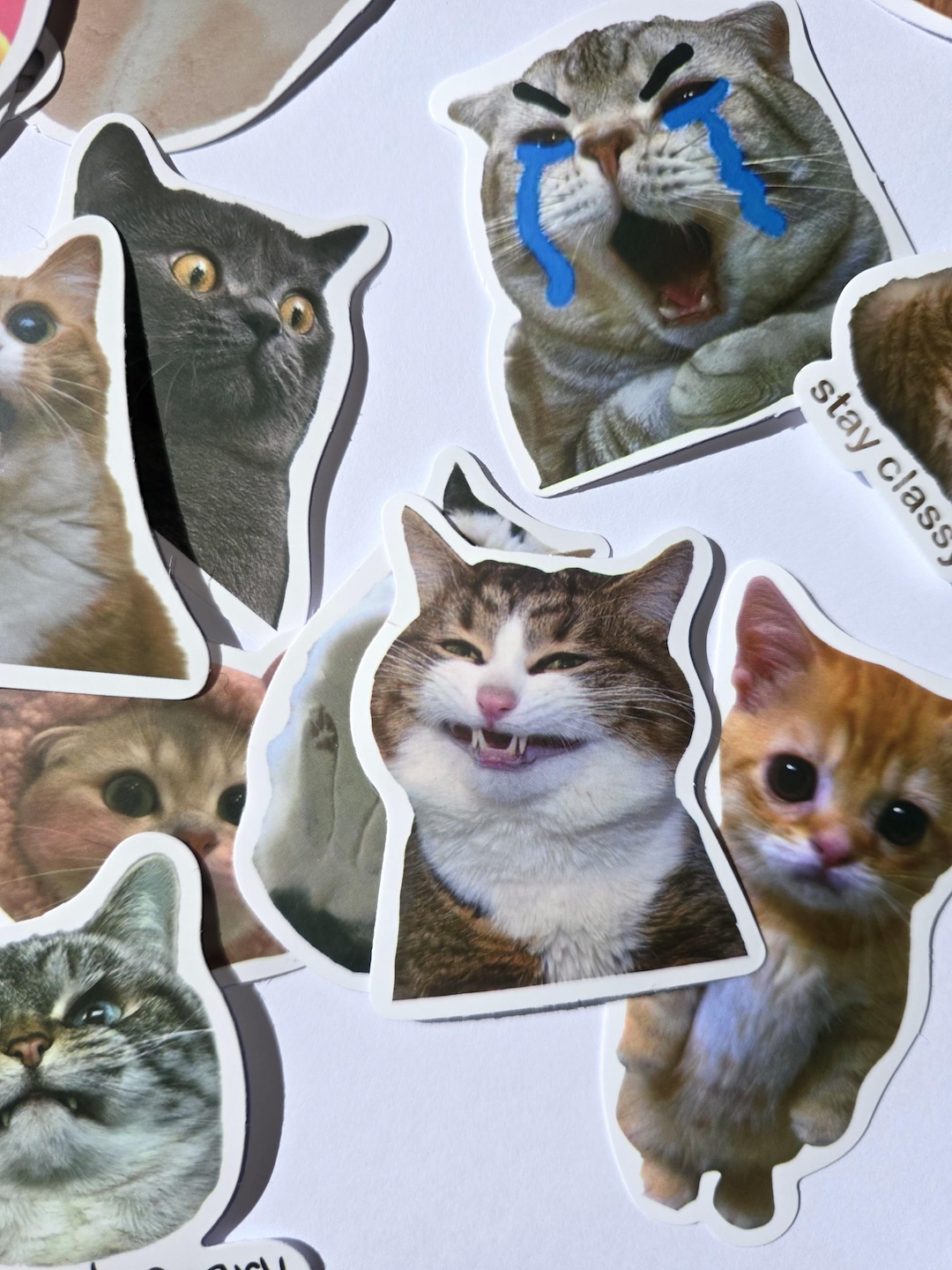Meme Katzen 50 Lustige Sticker - Süße & Witzige Katze Aufkleber - Matt ...