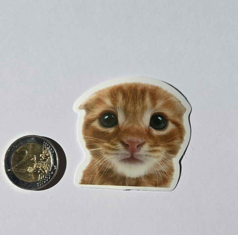 Meme Katzen 50 Lustige Sticker - Süße & Witzige Katze Aufkleber - Matt ...