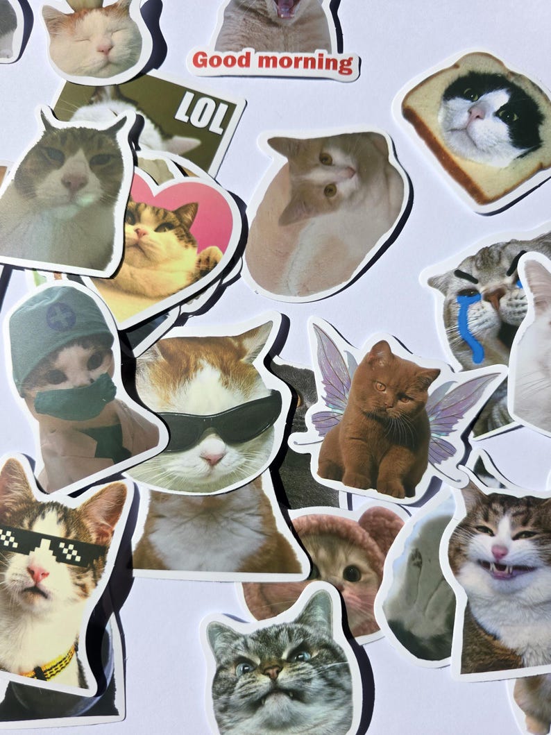 Meme Katzen 50 Lustige Sticker - Süße & Witzige Katze Aufkleber - Matt ...
