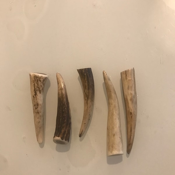 Deer Antler Tips - Etsy