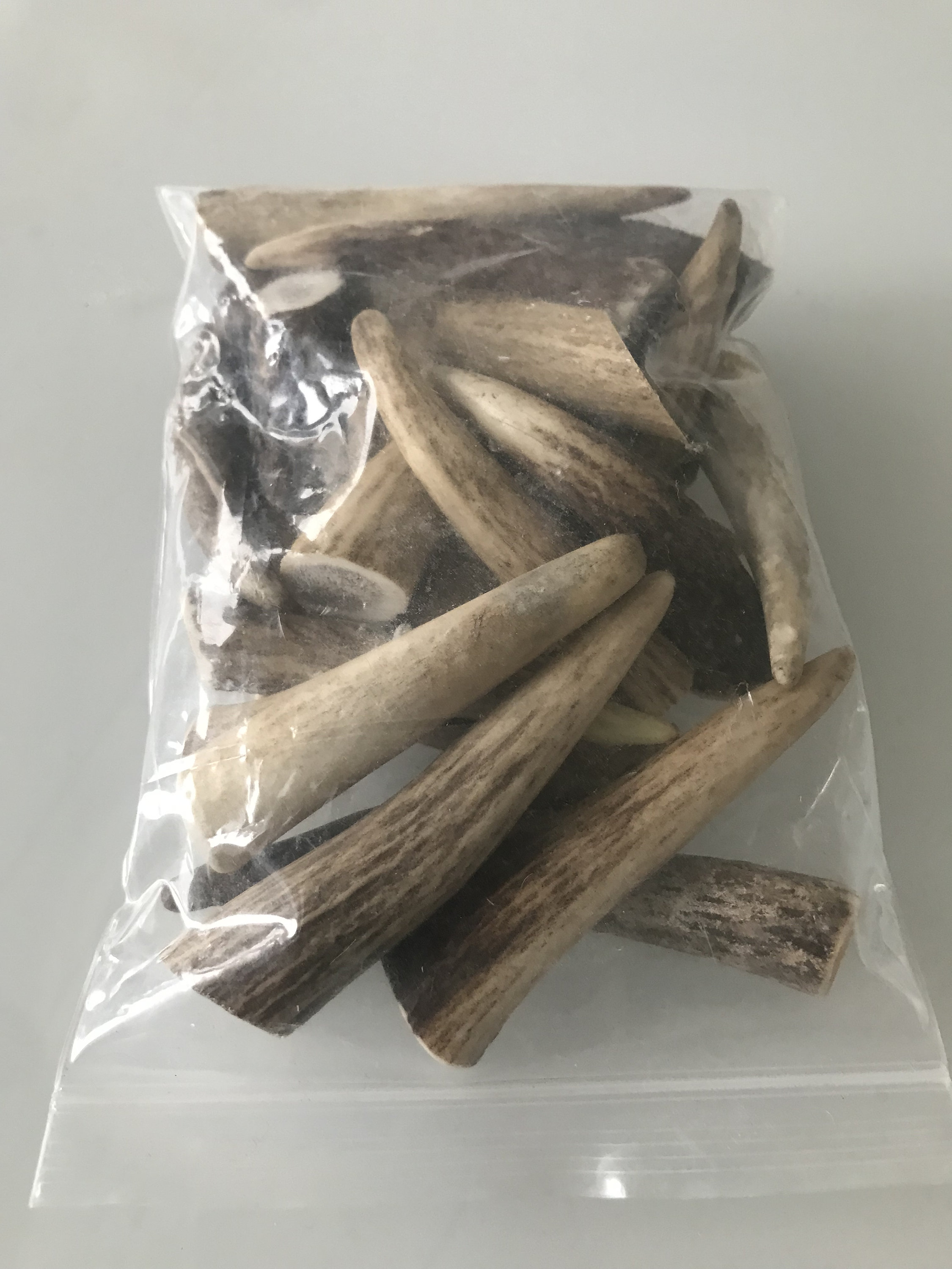 20 X 3 Inch Antler Tips - Etsy