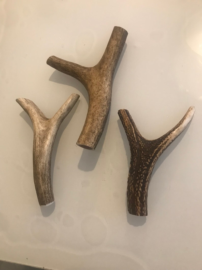 Antler Thumb-stick Handle - Etsy UK