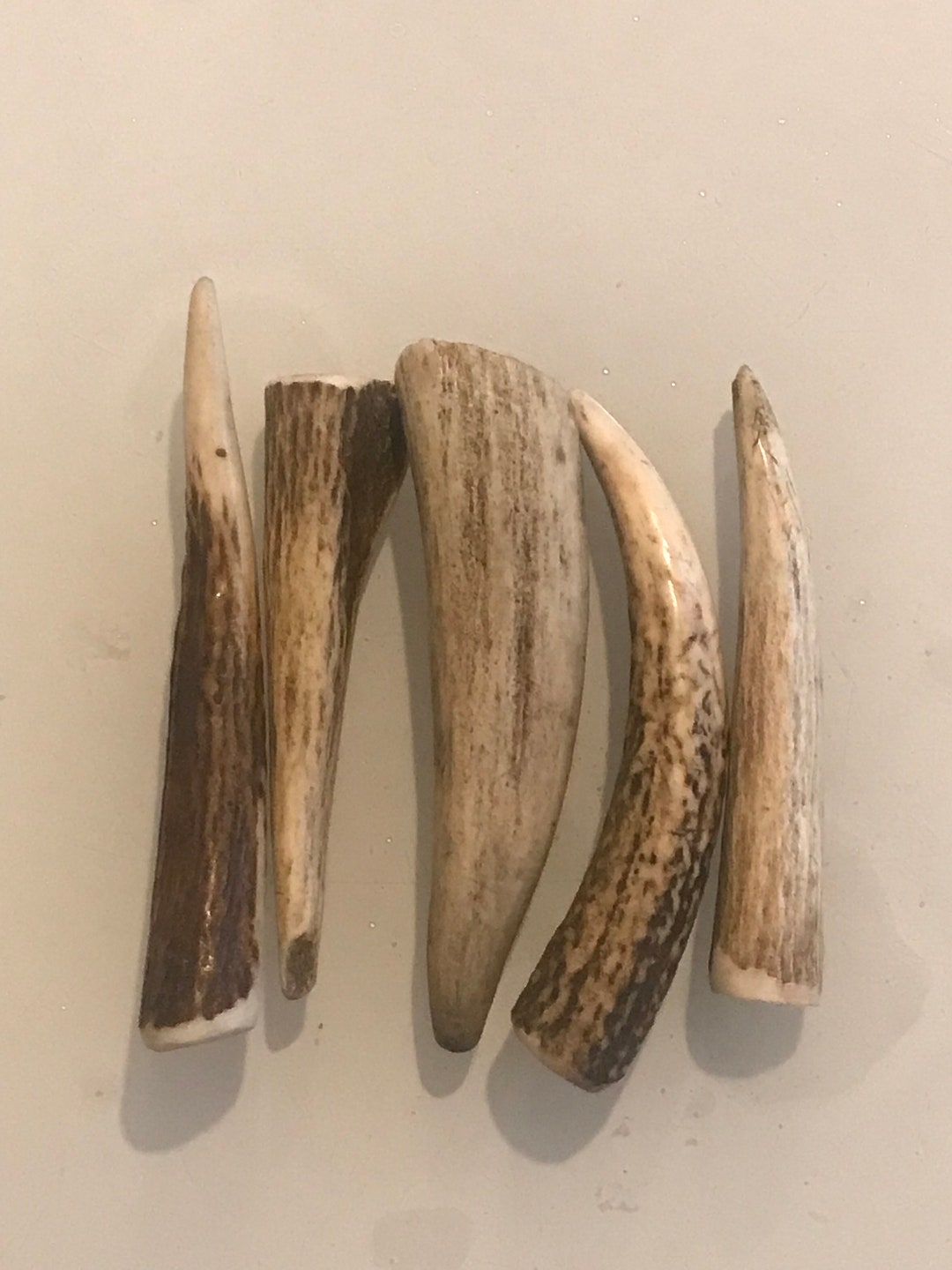 5” Antler Points Pack 5 - Etsy