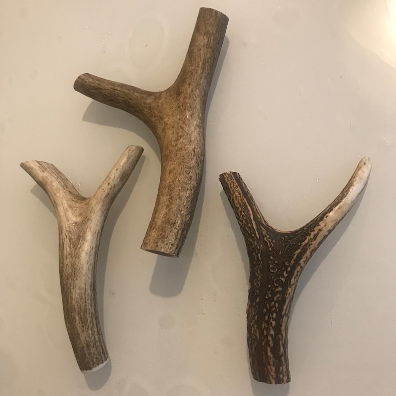Antler for Thumb Stick - Etsy UK