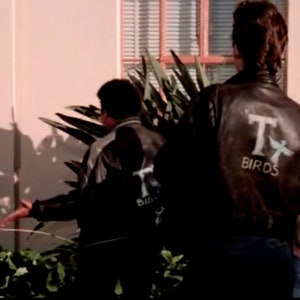 T Birds, Logo of the Band From the 1950s Movie Grease in Jpg Png and ...