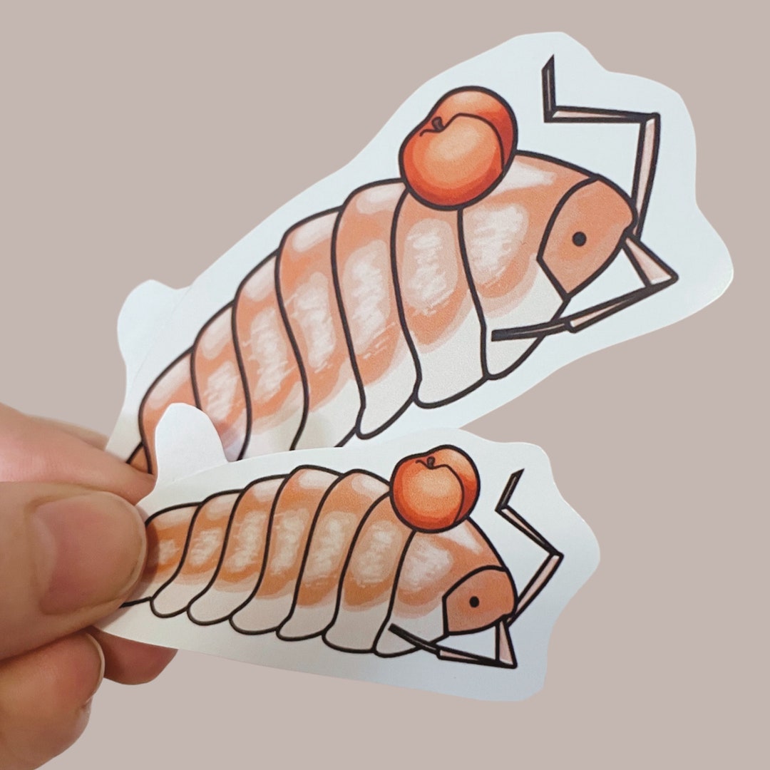Isopod Stickers Multiple Options - Etsy