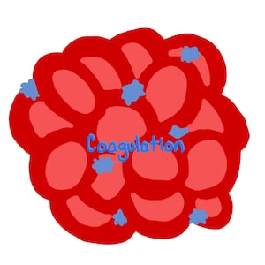 Medical Laboratory Science Coagulation Digital Notes - Etsy