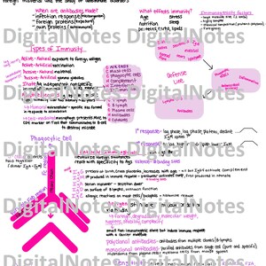Medical Laboratory Science Serology/immunology Digital Notes - Etsy