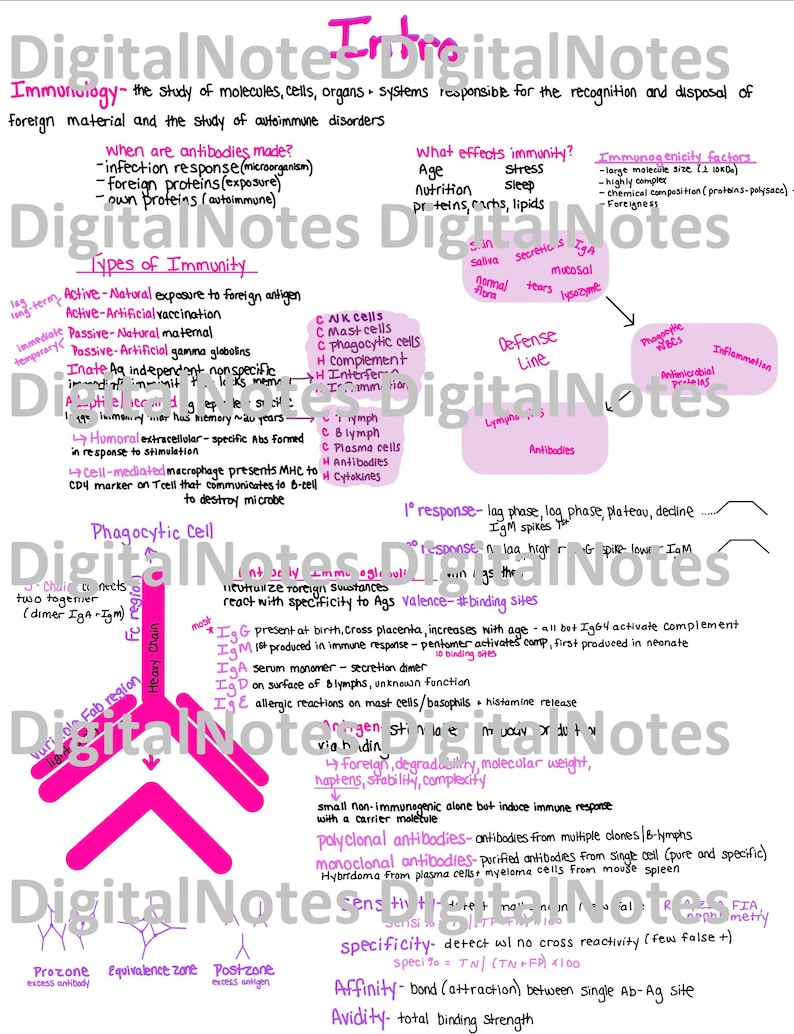 Medical Laboratory Science Serology/immunology Digital Notes - Etsy