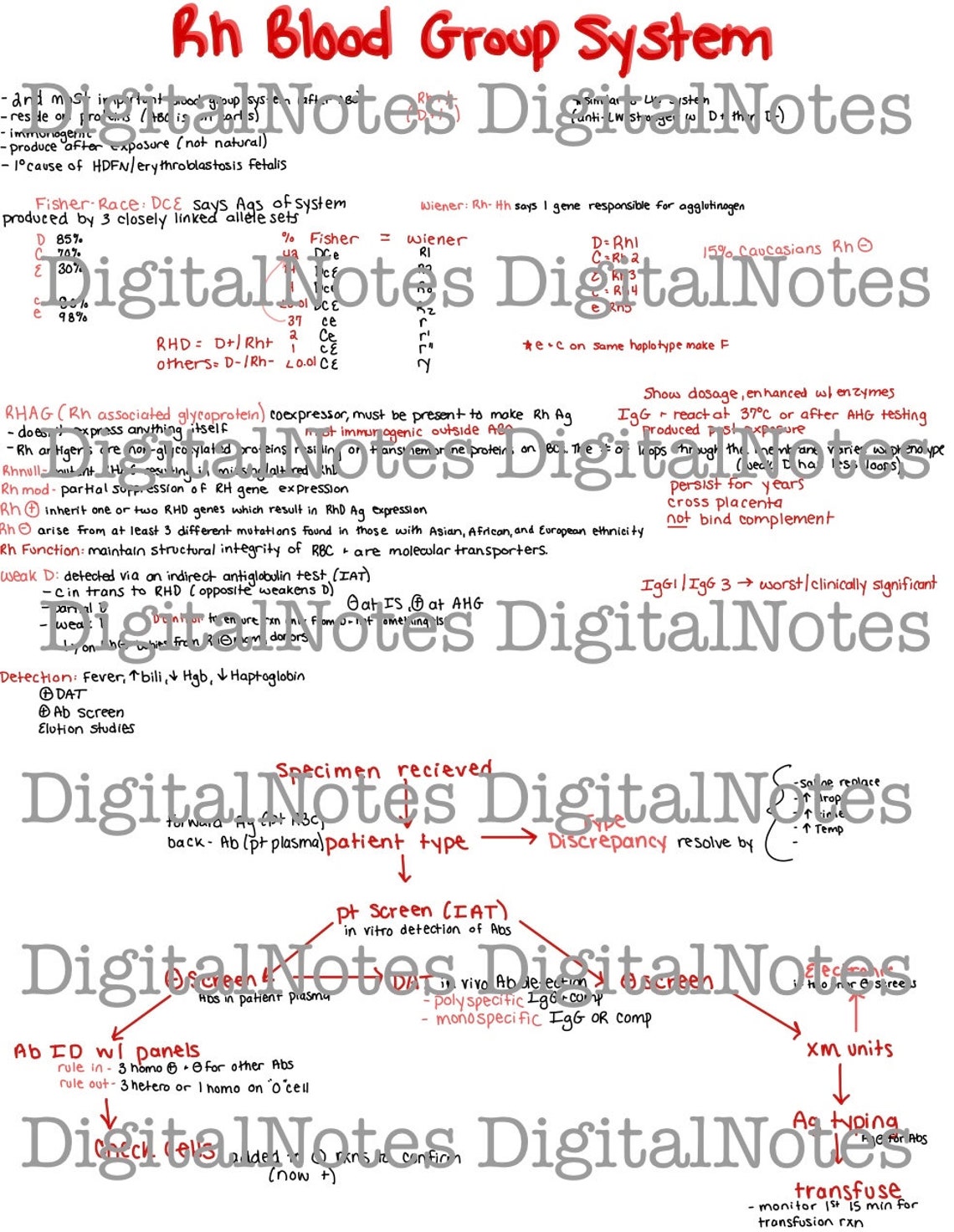 Medical Laboratory Science Blood Bank Digital Notes - Etsy