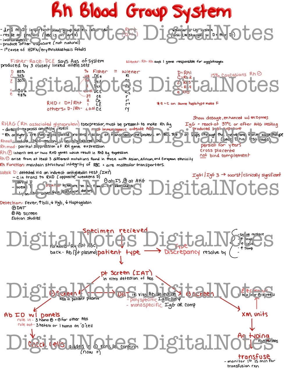 Medical Laboratory Science Blood Bank Digital Notes - Etsy