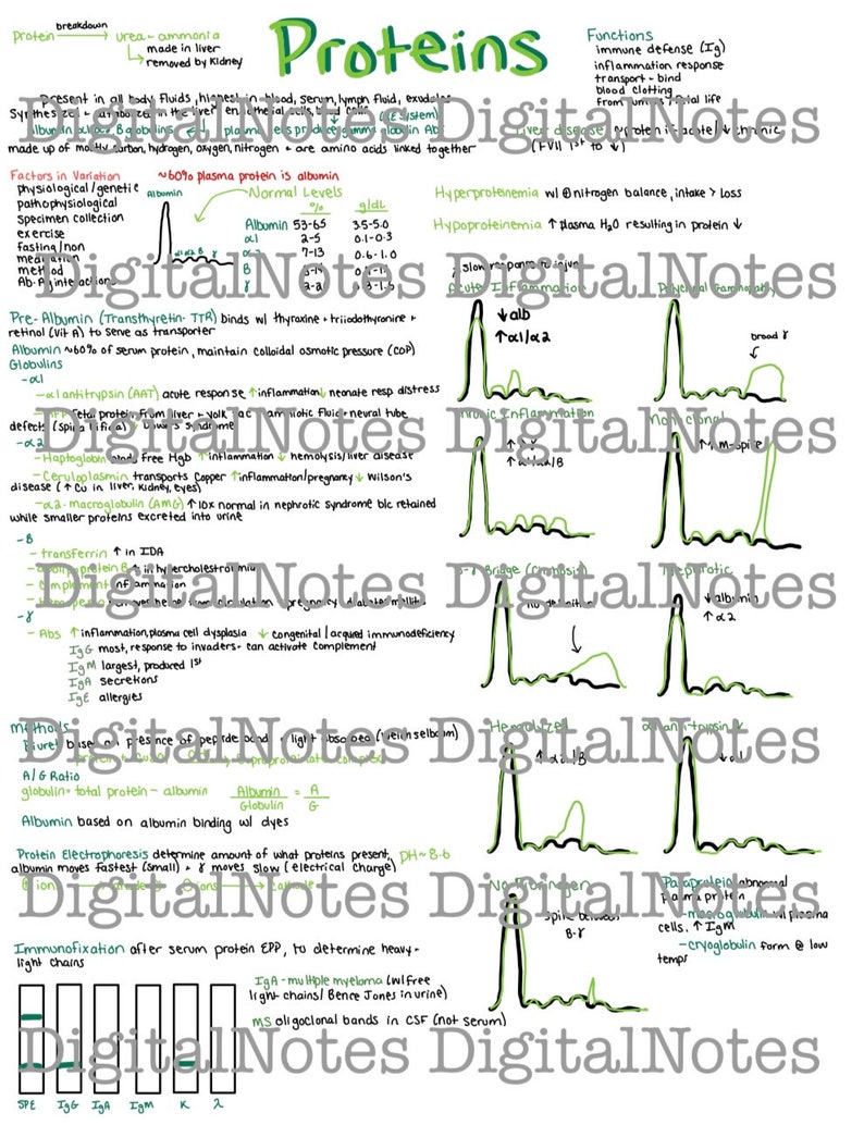 Medical Laboratory Science Chemistry Digital Notes - Etsy